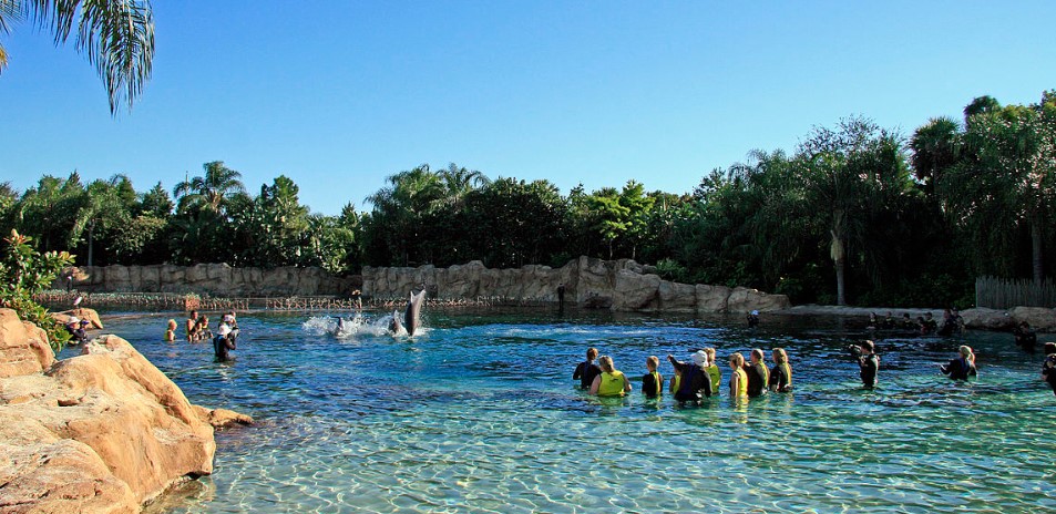 285. Dawn Criddle | Stella's Wish Foundation